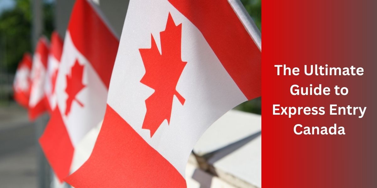 The Ultimate Guide to Express Entry Canada - Dreamland Immigration
